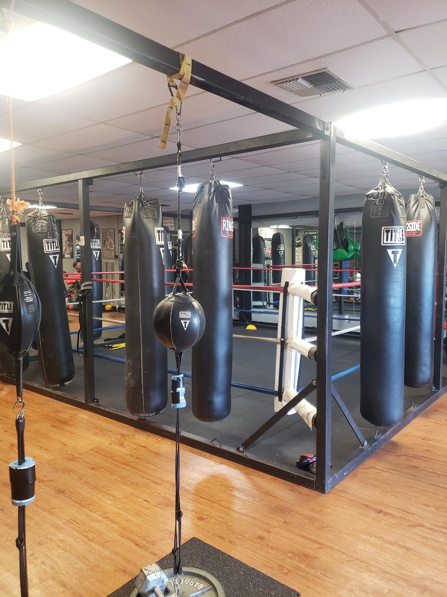 Blazing Boxing Gym – Train with the best