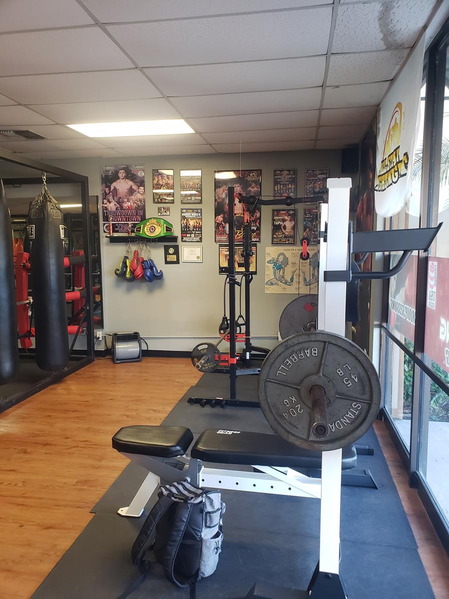 Blazing Boxing Gym – Train with the best